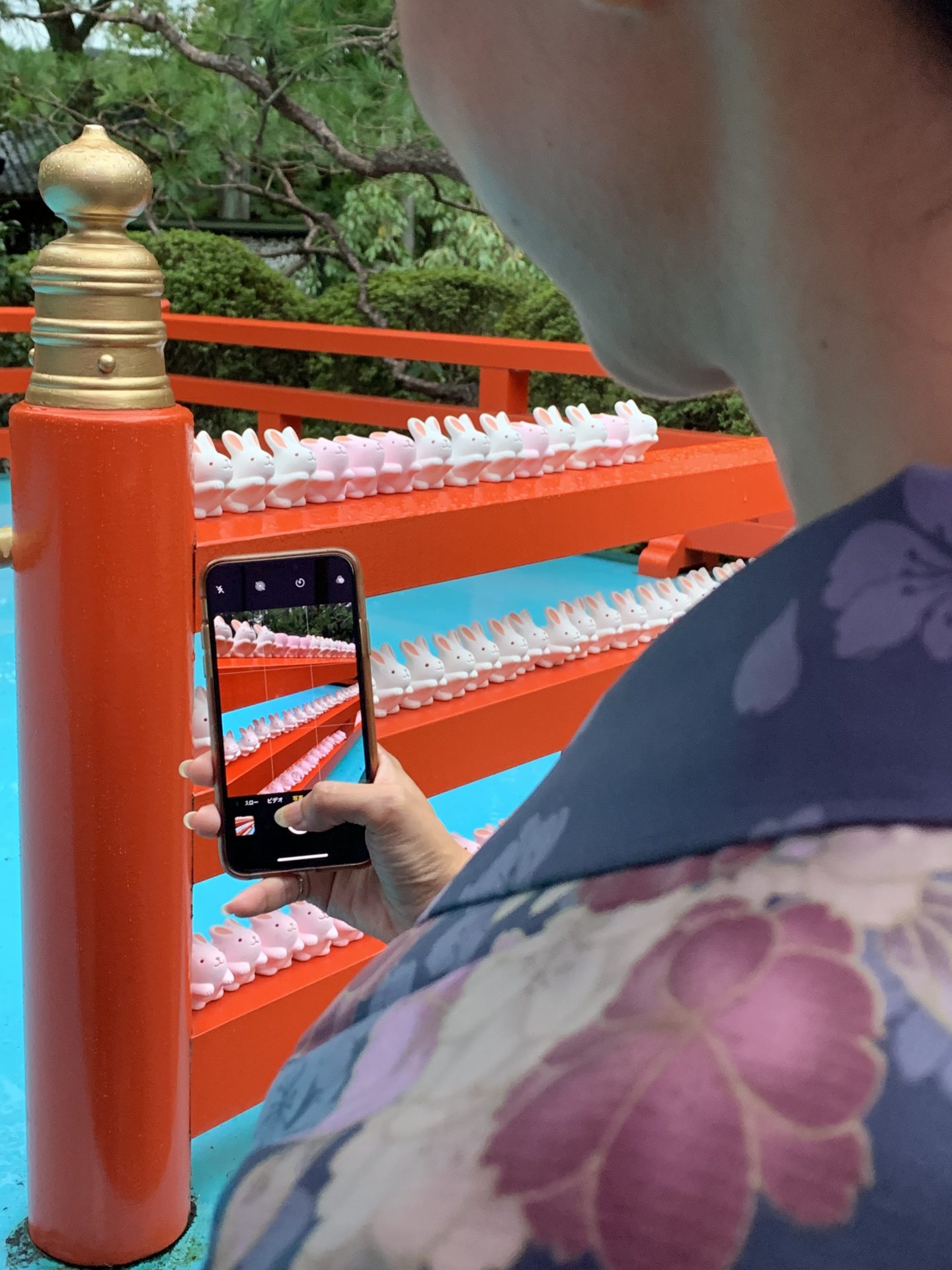 Okazaki Jinja Shrine – UME SAKURA